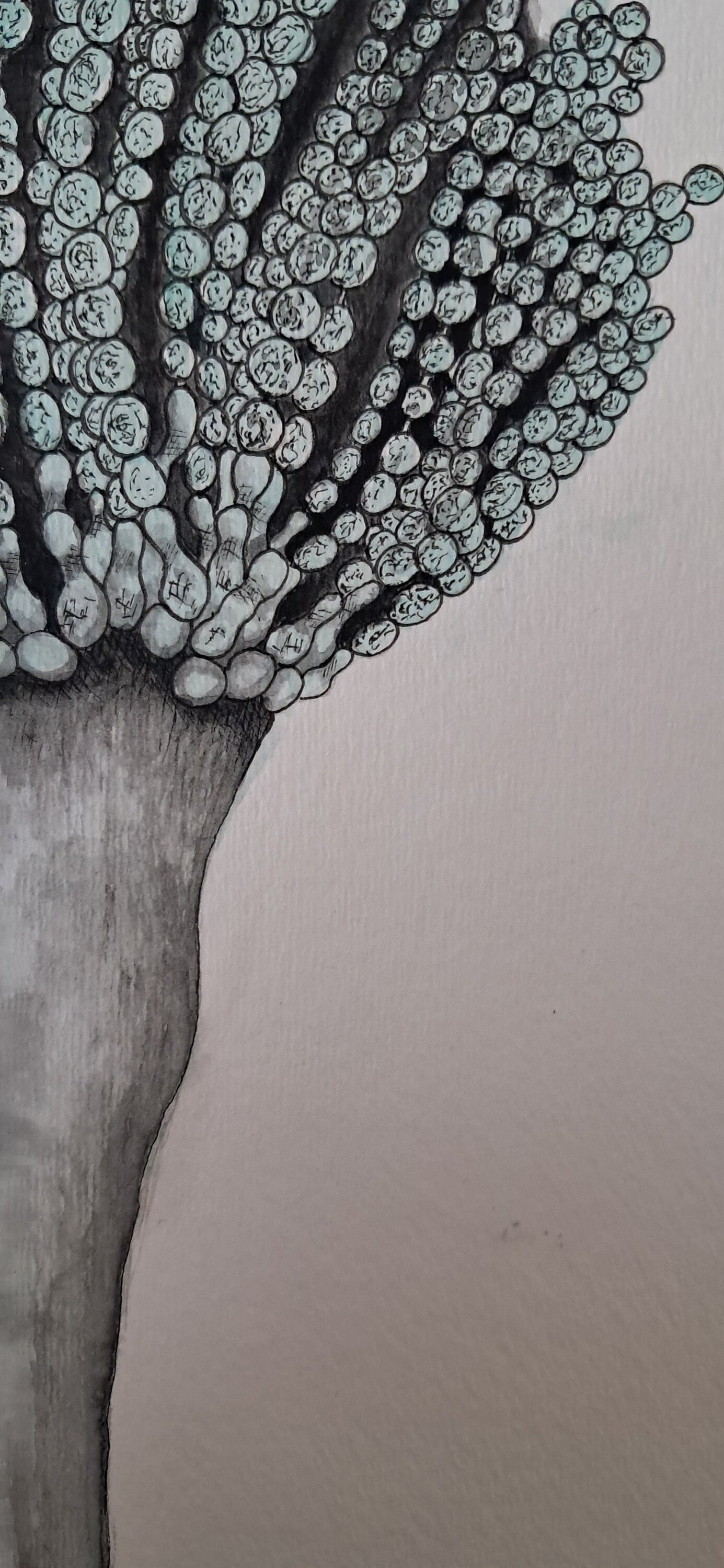 Conidiation Original Watercolor Painting on Paper, 11 X 15, Aspergillus ...