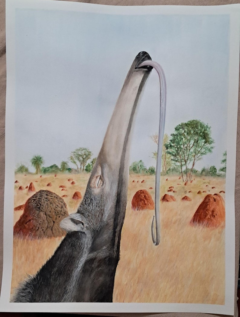Original Watercolor Painting Giant Anteater by Termite Mounds, Pantanal ...