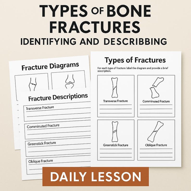Types of Bone Fractures: Identifying and Describing | Daily Lesson ...