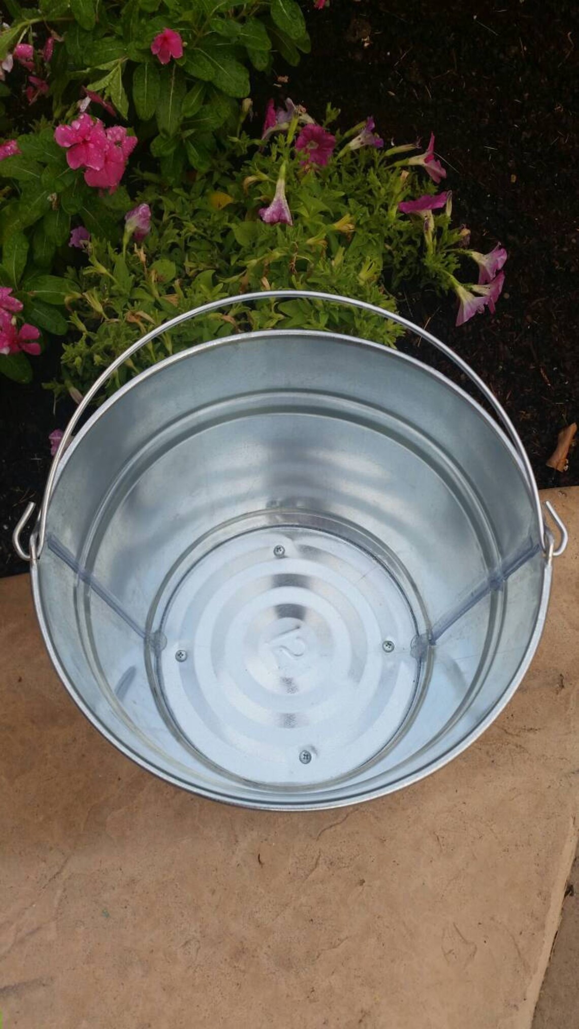 Flamingo Bucket - Etsy