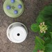 Java Time ... Flower Pot/planter - Etsy