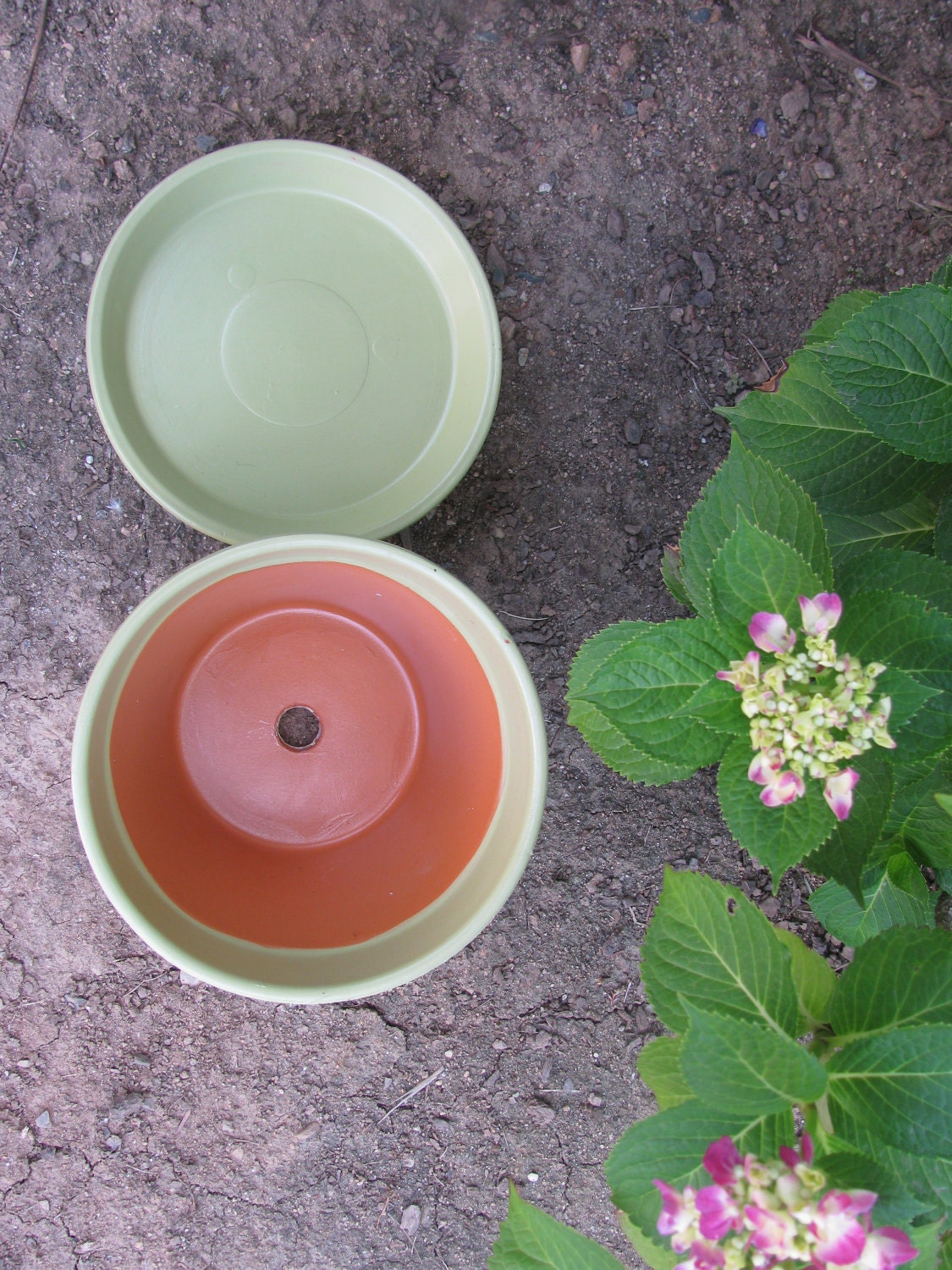 Java Time ... Flower Pot/Planter | Etsy