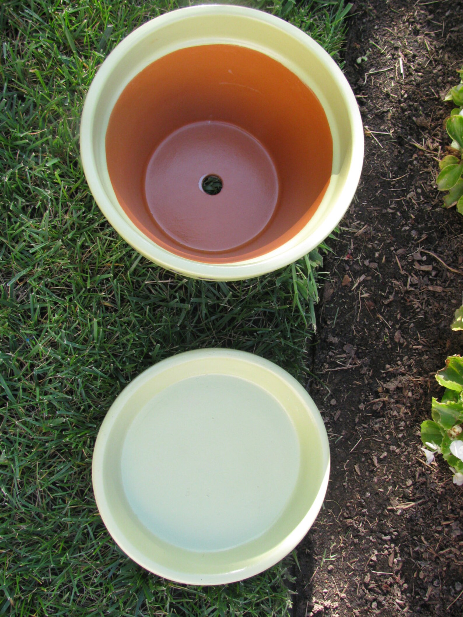 Hummingbird Flower Pot - Etsy