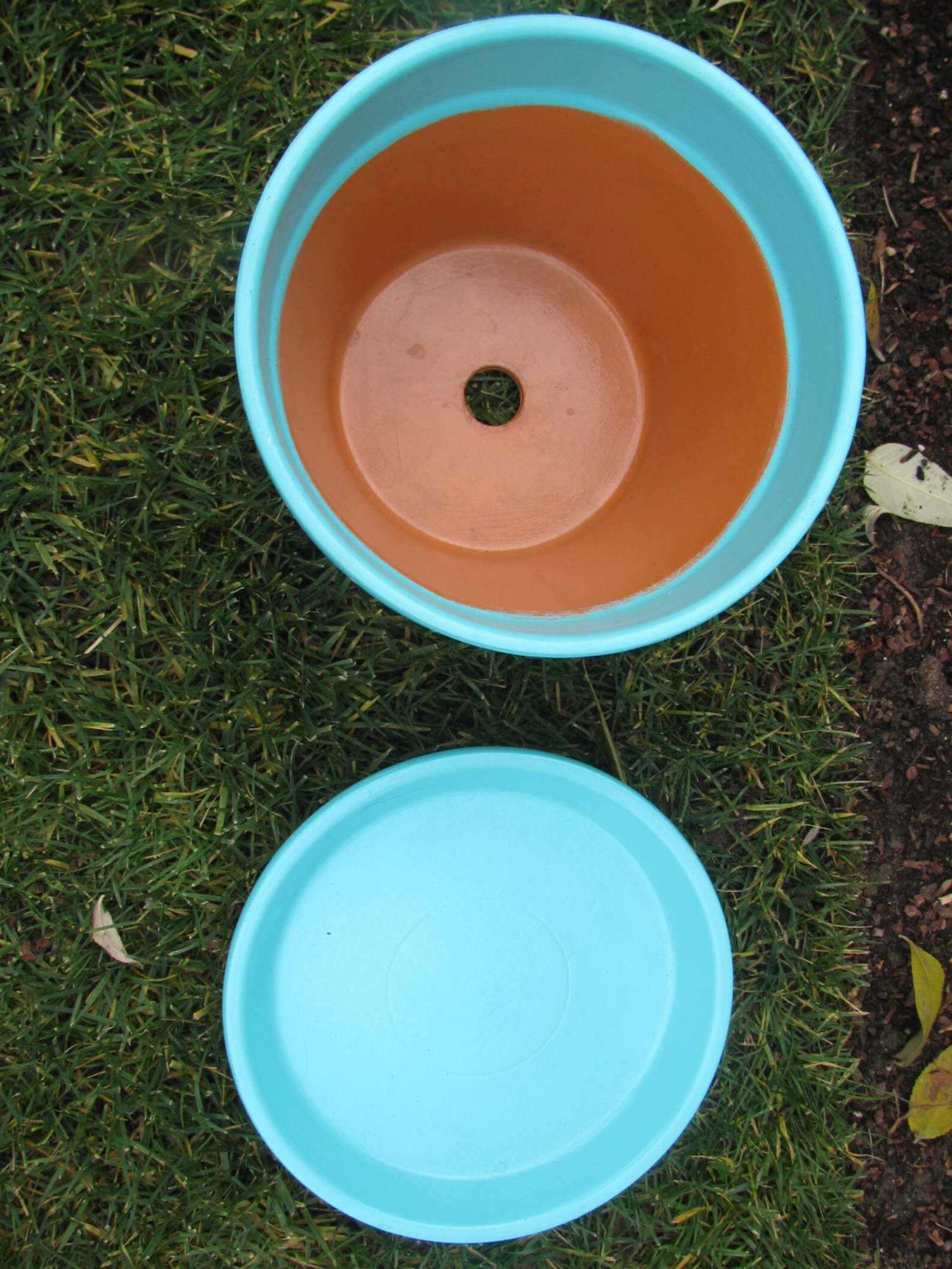 Ocean Coral Flower Pot - Etsy