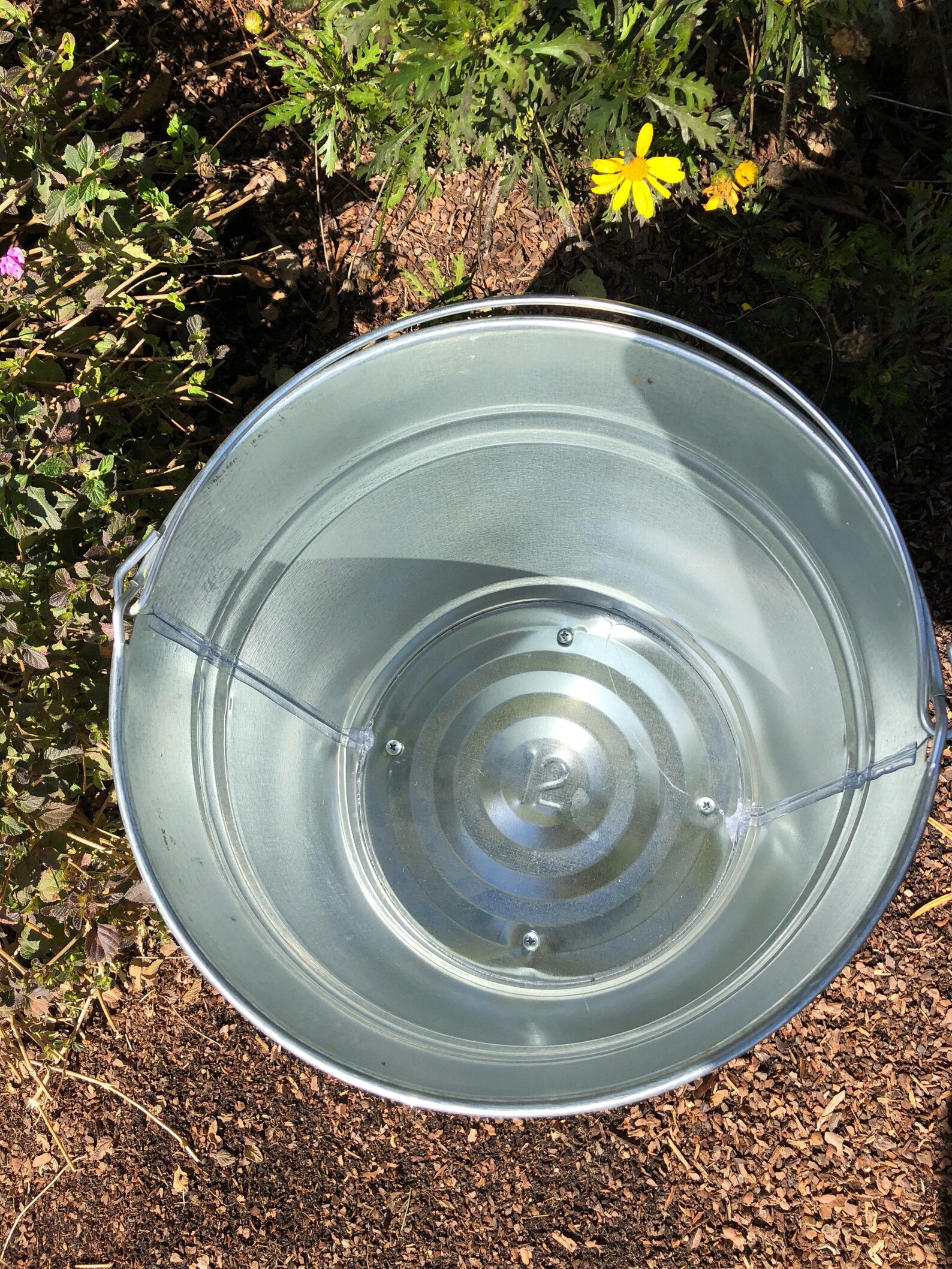 Sunflower Chicken Farm Bucket | Etsy