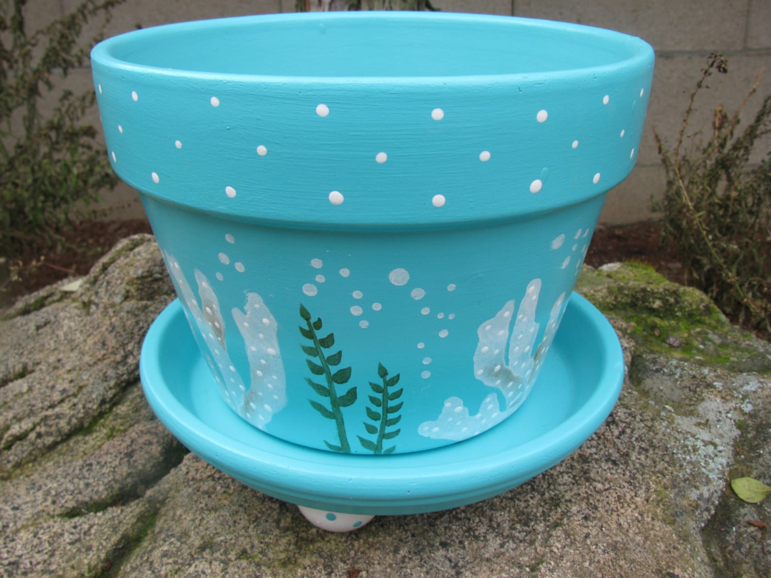 Ocean Coral Flower Pot - Etsy