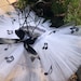 Music Note Tutu - Etsy
