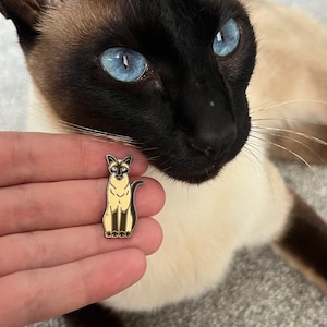 Twitch Hard Enamel Pin of Siamese Cat - Etsy