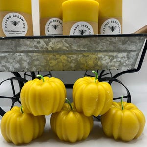 100% Beeswax Pumpkin Candle - Etsy