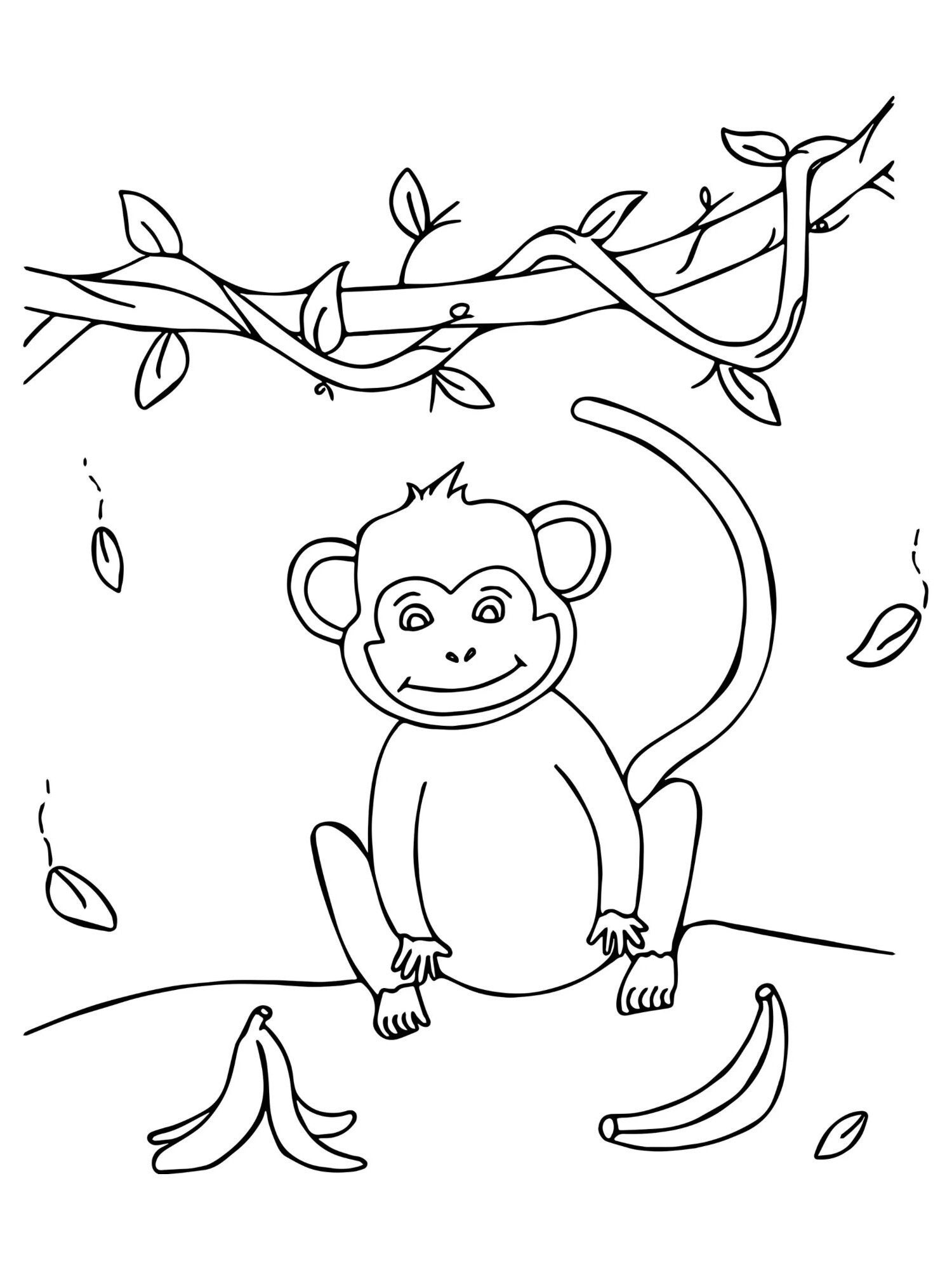 Cute Monkey in the Jungle Coloring Page/image. PNG File in Black and ...