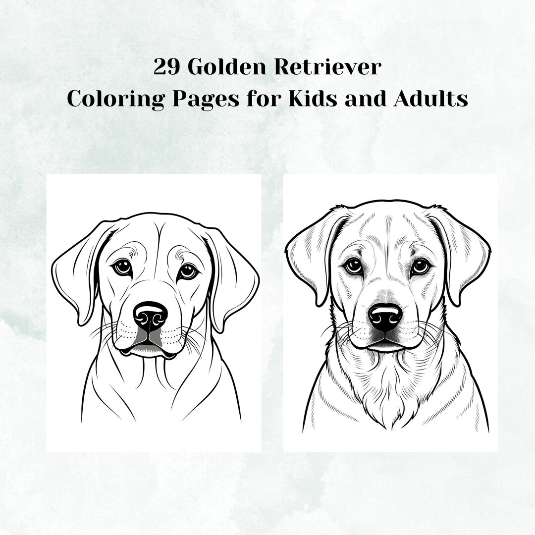 29 Golden Retriever Coloring Pages for Kids and Adults Cute Dog ...