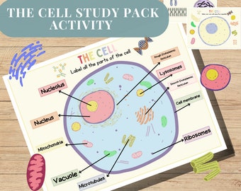 Bacteria Study Pack, Human Anatomy Activity Pack, Science Kids ...
