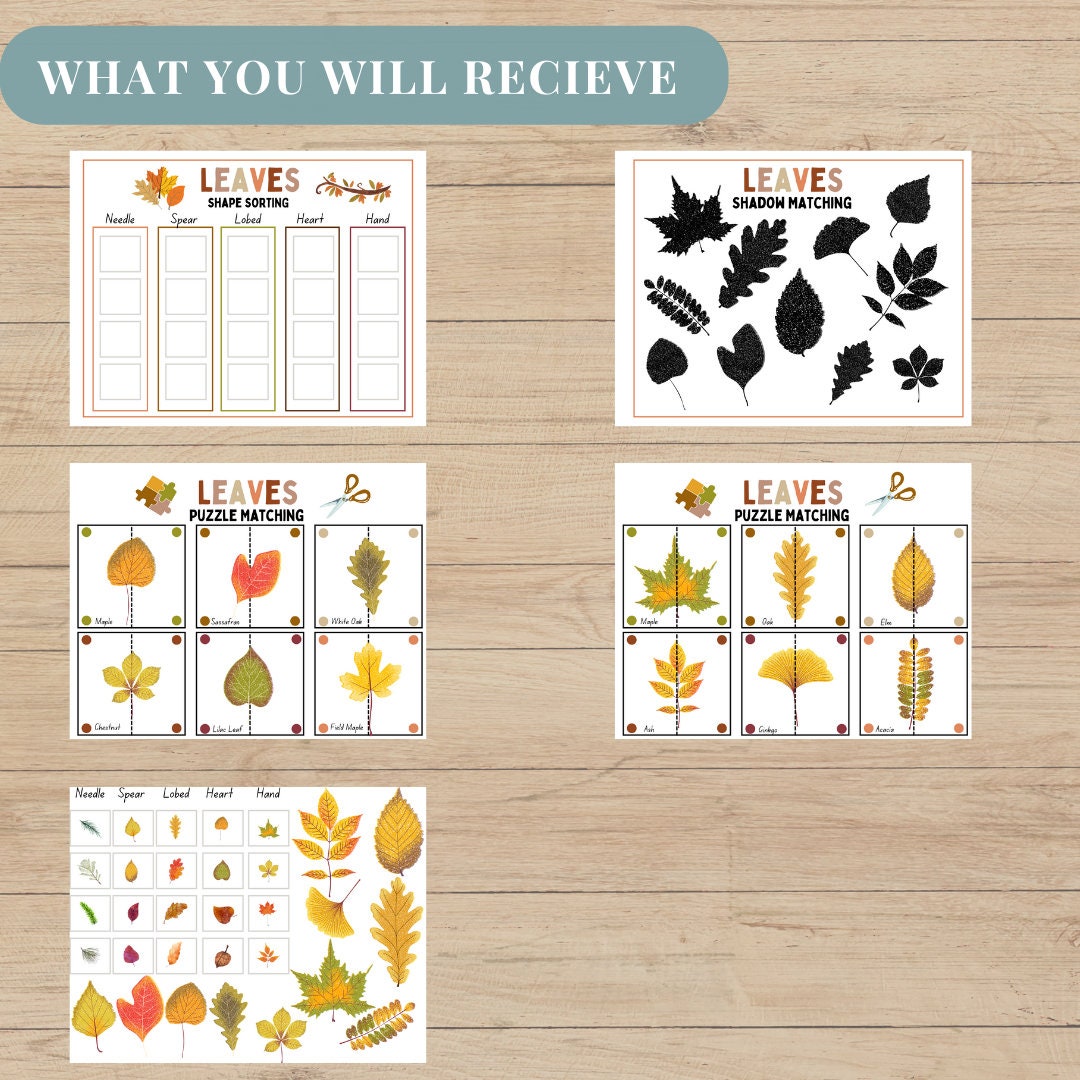 Fall Leaf Printable, Leaf Sorting Preschool Printable, Shadow Matching ...