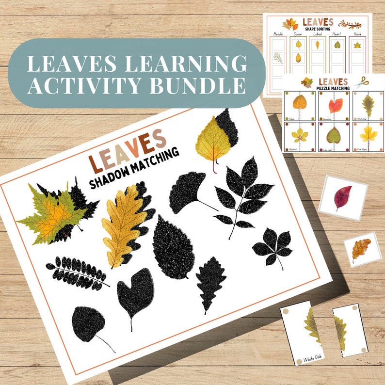 Fall Leaf Printable, Leaf Sorting Preschool Printable, Shadow Matching ...
