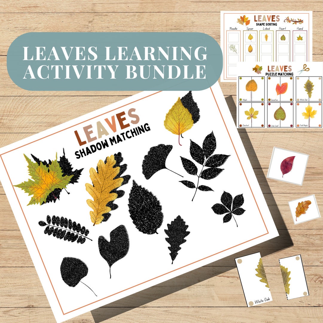 Fall Leaf Printable, Leaf Sorting Preschool Printable, Shadow Matching ...