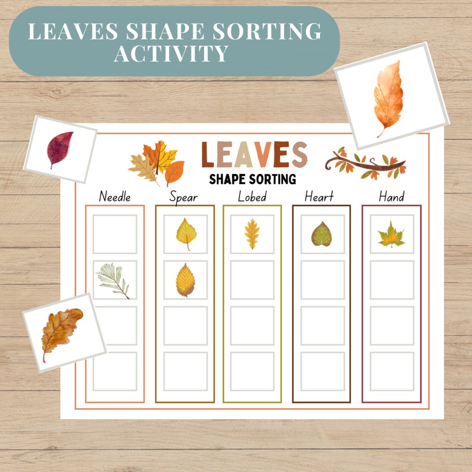 Fall Leaf Printable, Leaf Sorting Preschool Printable, Shadow Matching ...