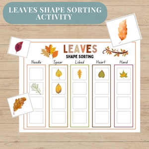 Fall Leaf Printable, Leaf Sorting Preschool Printable, Shadow Matching ...