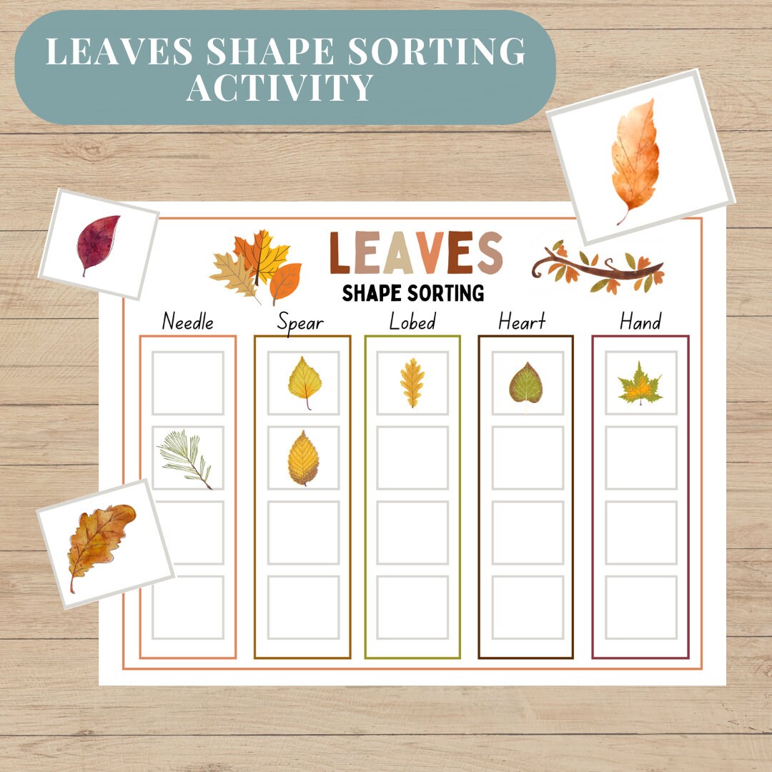 Fall Leaf Printable, Leaf Sorting Preschool Printable, Shadow Matching ...