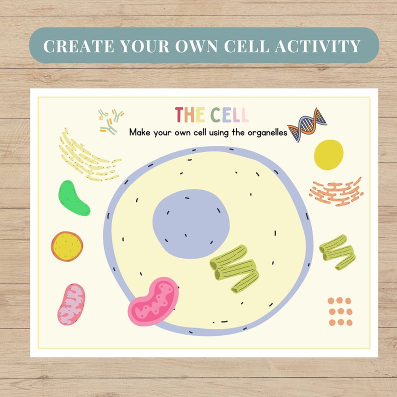 Human Body Cell, Human Anatomy Study Pack, Preschool Activities ...