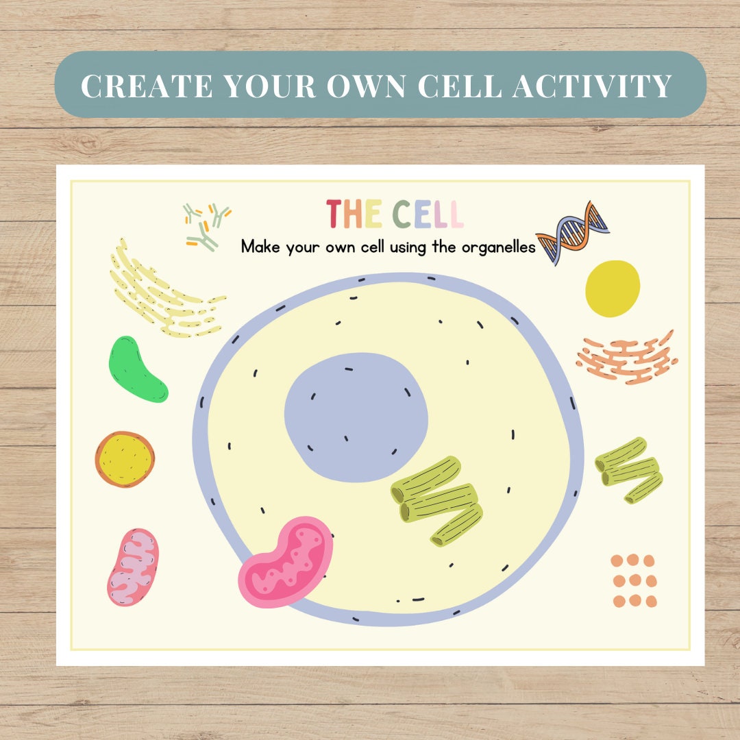 Human Body Cell, Human Anatomy Study Pack, Preschool Activities ...