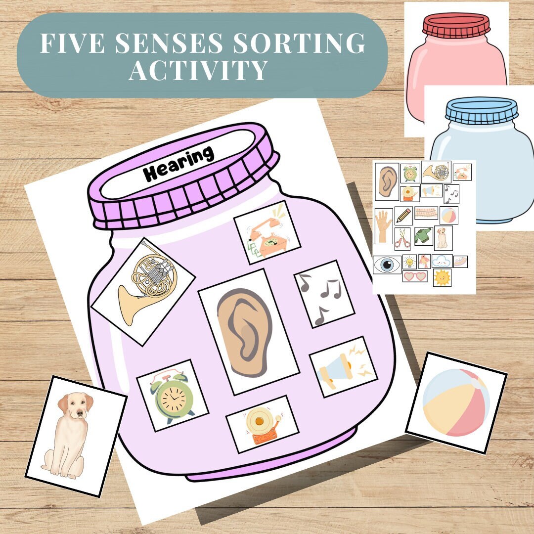 Five Senses Jar Sorting Activity, Printable Toddler Activity, 5 Senses ...