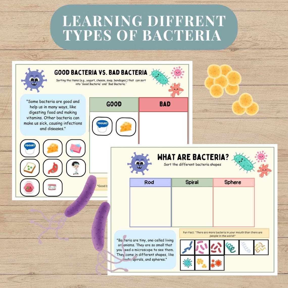 Bacteria Study Pack, Human Anatomy Activity Pack, Science Kids ...