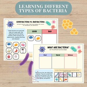 Bacteria Study Pack, Human Anatomy Activity Pack, Science Kids ...