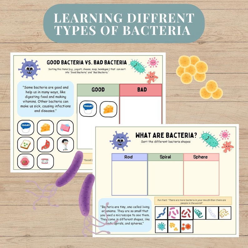 Bacteria Study Pack, Human Anatomy Activity Pack, Science Kids ...