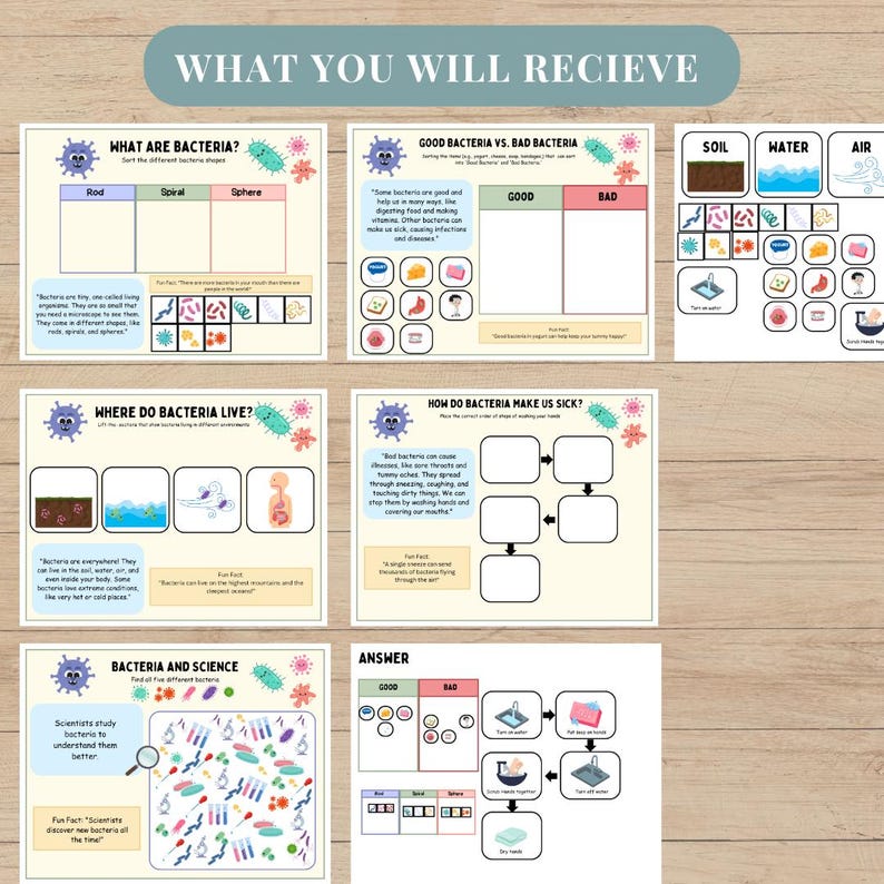 Bacteria Study Pack, Human Anatomy Activity Pack, Science Kids ...