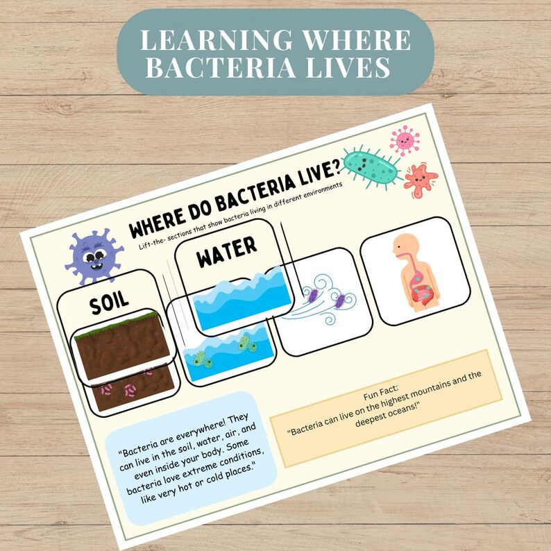 Bacteria Study Pack, Human Anatomy Activity Pack, Science Kids ...