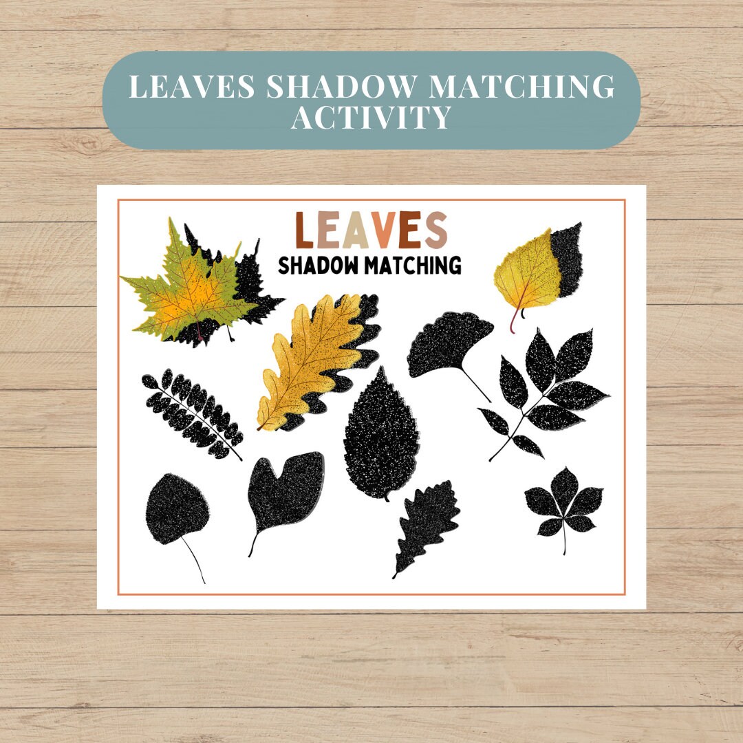 Fall Leaf Printable, Leaf Sorting Preschool Printable, Shadow Matching ...