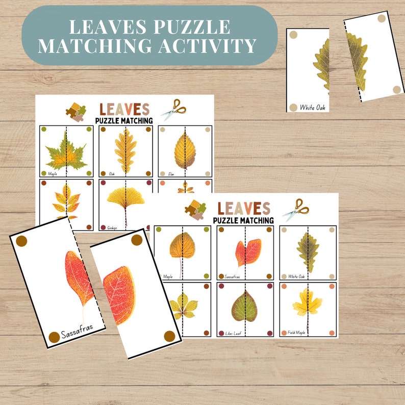 Fall Leaf Printable, Leaf Sorting Preschool Printable, Shadow Matching ...