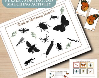 Insects Match and Sort preschool Printable Binder Activities - Etsy