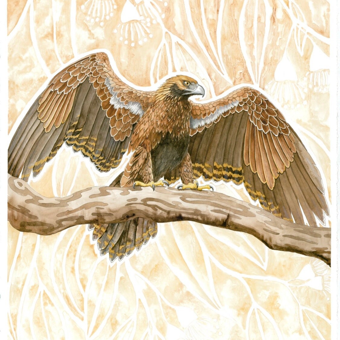 Wedge-tailed Eagle Print From Original Watercolour Artwork - Etsy