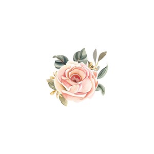 Pink Rose Princess Clipart Set: Gold Glitter Accents (PNG Digital ...