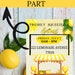 Lemonade Stand Plan Party Invitation: Refreshing Summer Flavors and Fun ...
