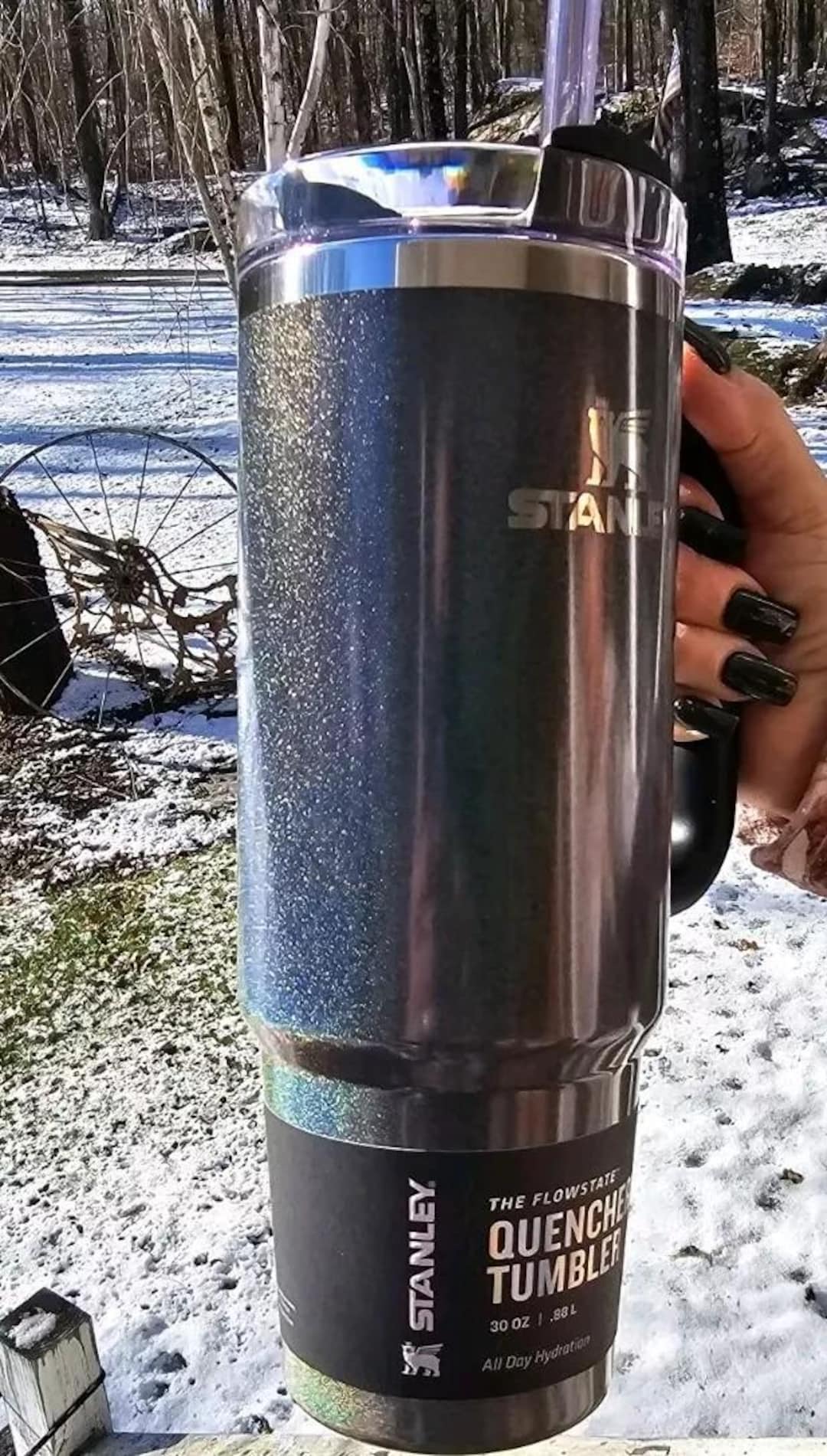 Custom Stanley Cup, Elphaba Wicked Stanley 40oz Cup,stanley Water ...