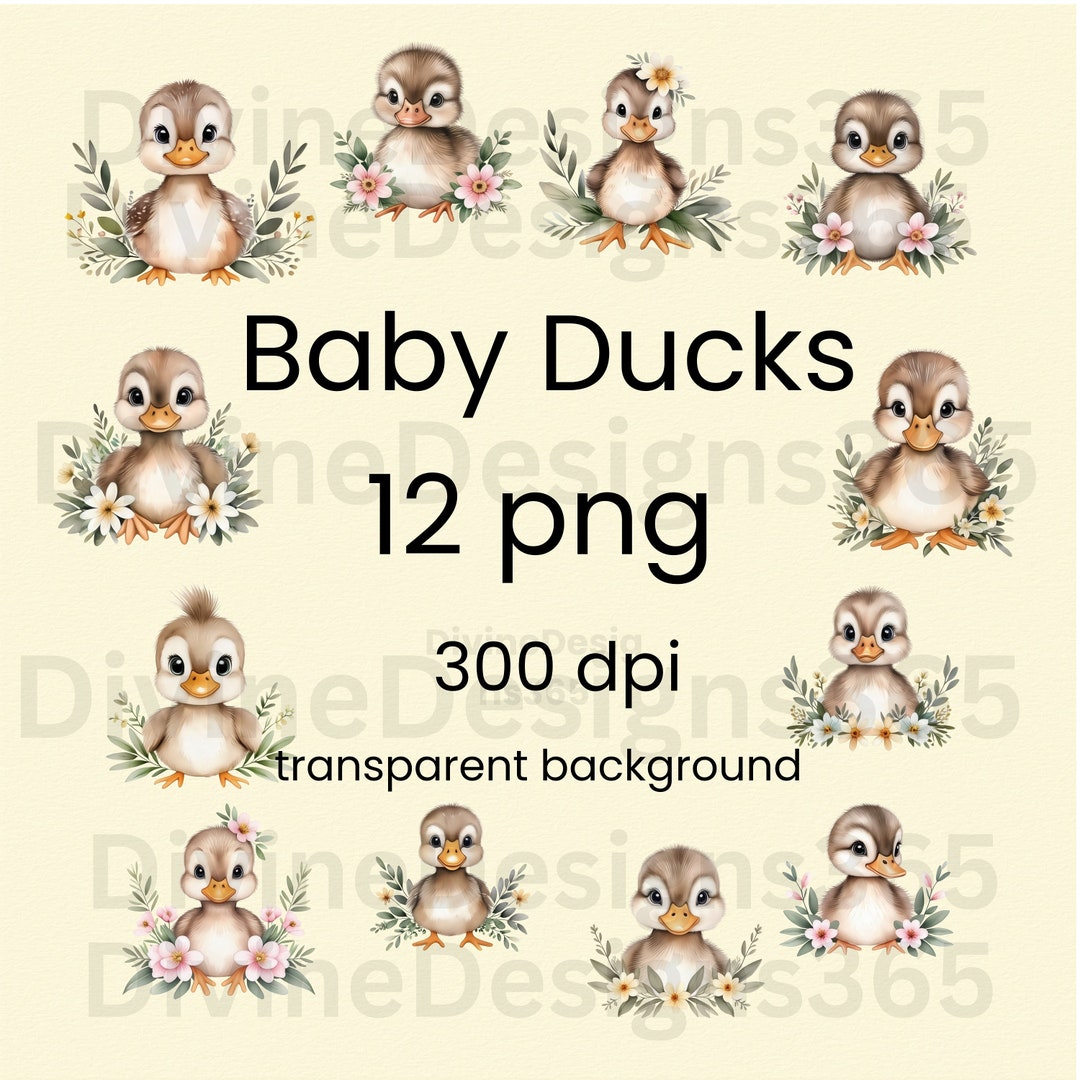 Baby Ducks Clipart, Ducklings Clipart, 12 Pngs, Digital Download, Baby ...