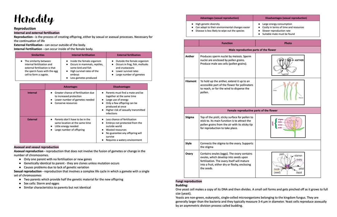 HSC Biology Complete Notes All Modules Year 12 - Etsy