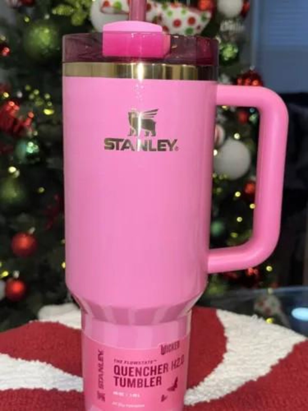 Custom Stanley Cup, Custom Elphaba Wicked Stanley,stanley With No ...