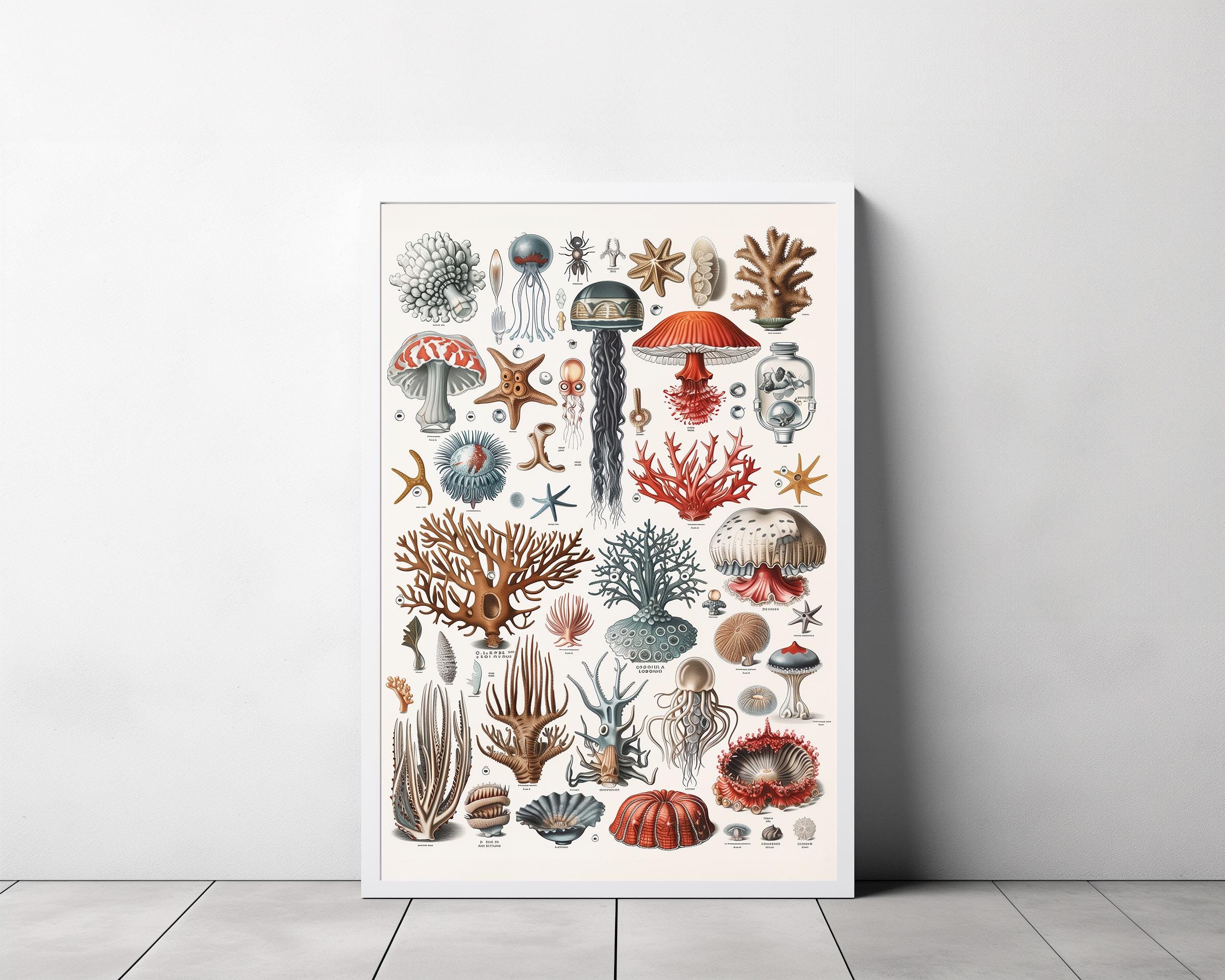 Printable Vintage Sealife Chart | Adolphe Millot Poster | Marine ...