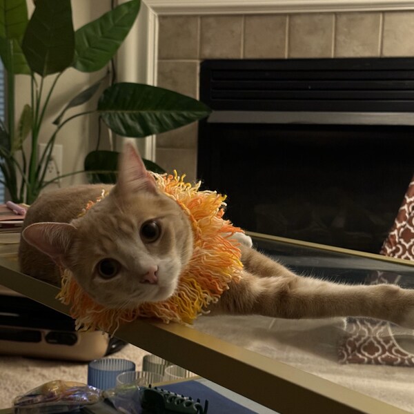 Cat Lion Mane Costume - Etsy