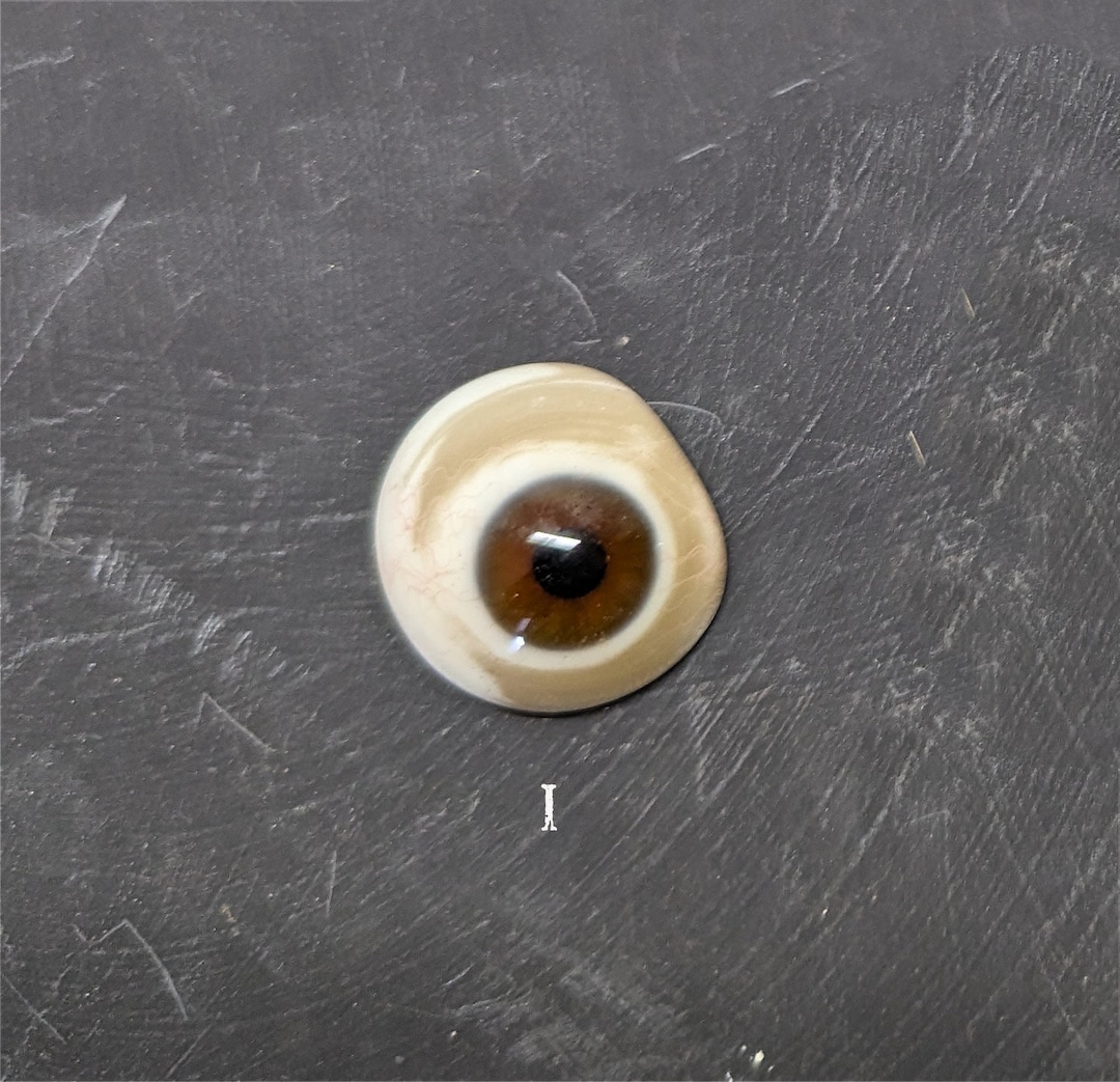ANTIQUE GLASS EYE, Vintage Prosthetic Eyes, Human Glass Eye, Last One ...