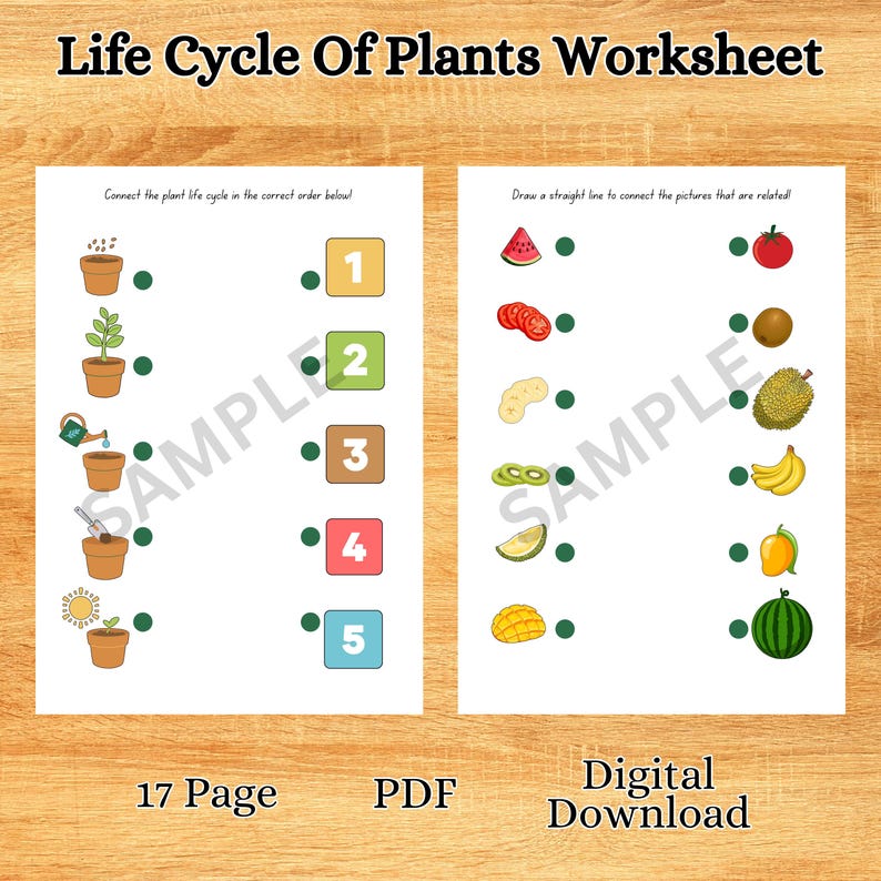Plant Worksheet Printable, Plant Life Cycle, Parts of a Plant, Therapy ...