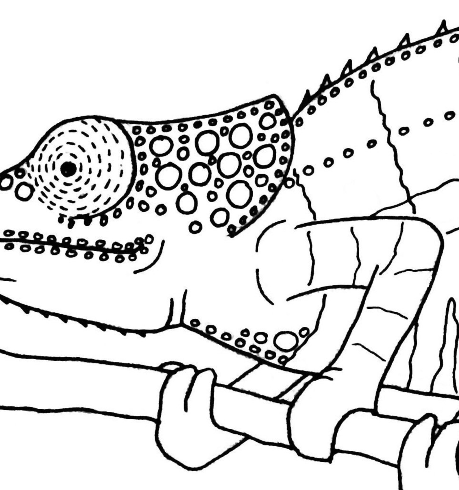 Chameleon Hand Embroidery Pattern PDF Stitching Instructions Included ...