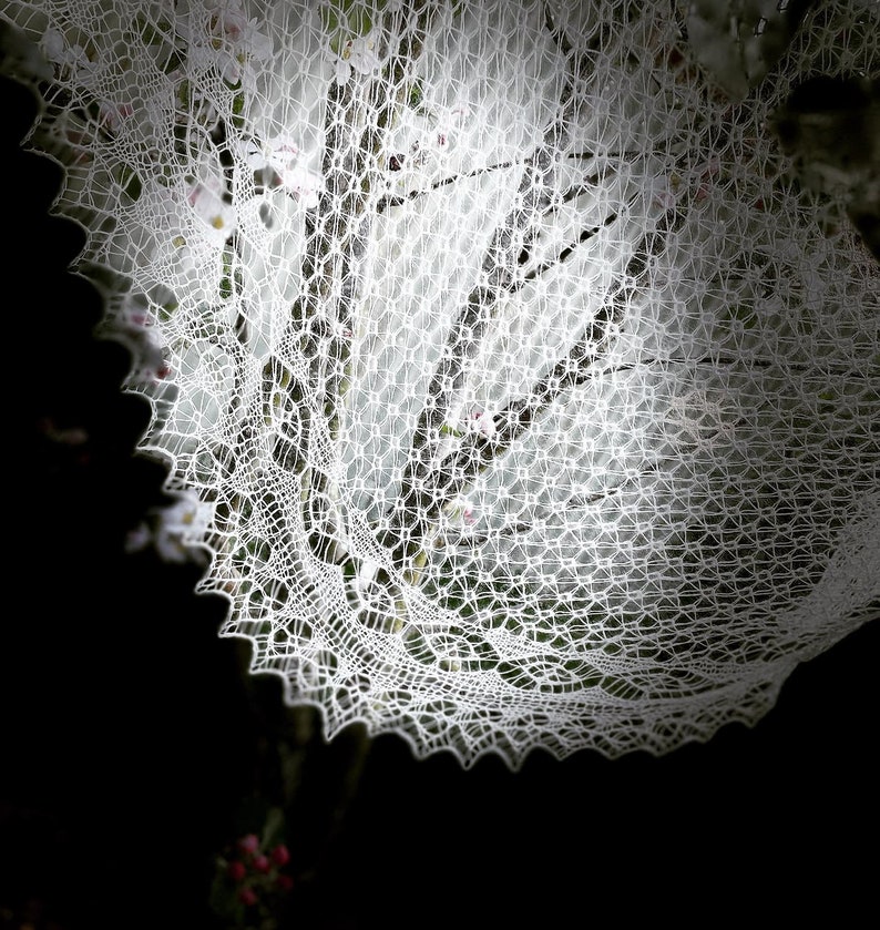 Bobby La’s: 1ply Cobweb - Fine Lace Australian Merino Yarn - Undyed ...