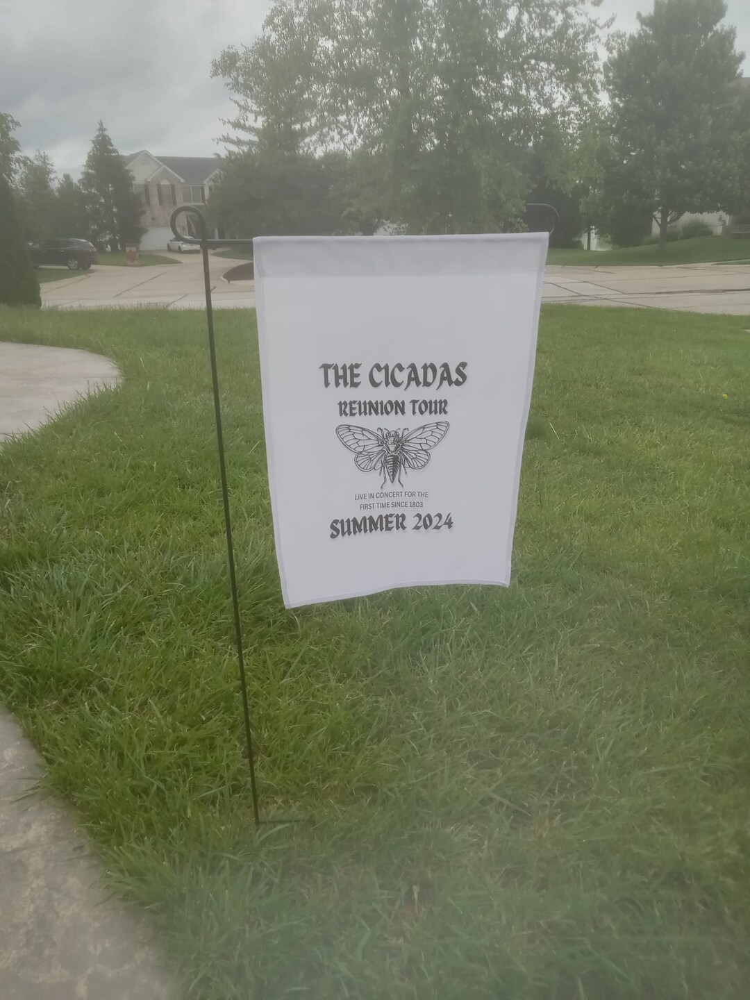 Cicada Garden Flag - Etsy