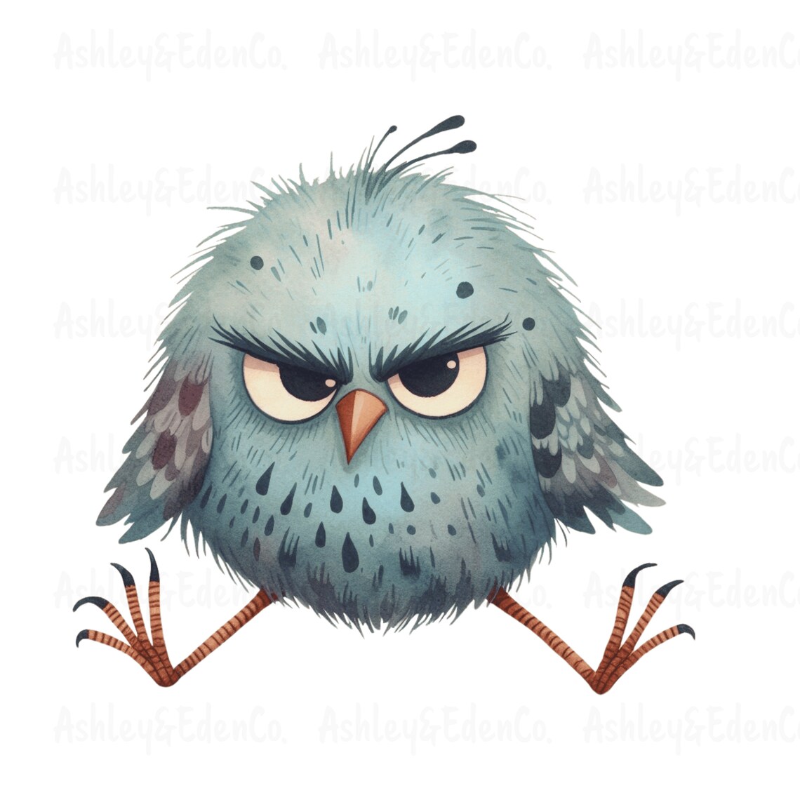 18 Grumpy Birds Clipart, Funny, Angry Birds, Digital Clipart ...