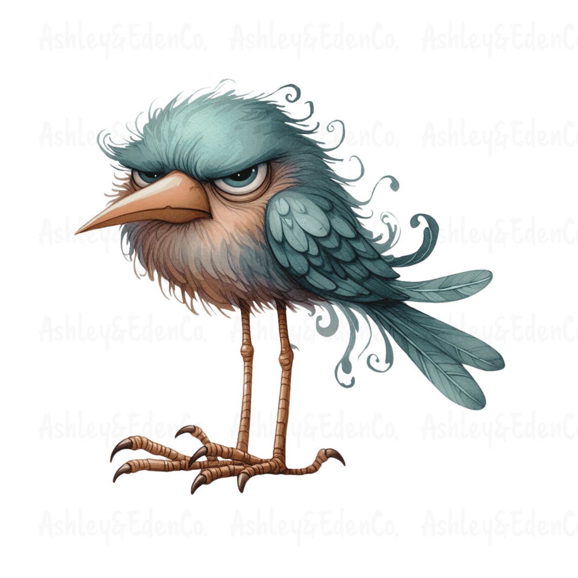 18 Grumpy Birds Clipart, Funny, Angry Birds, Digital Clipart ...