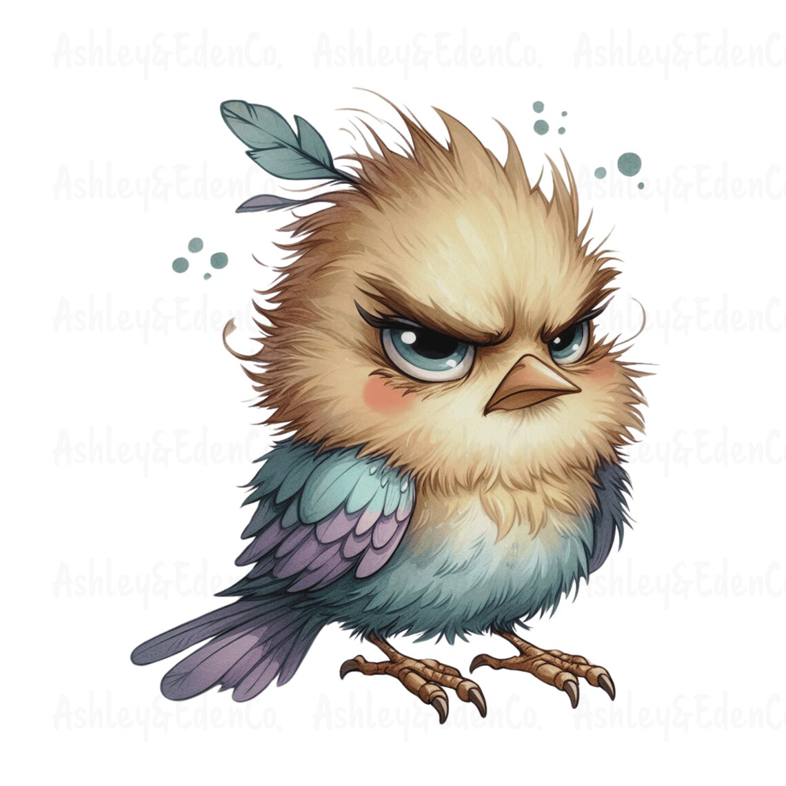 18 Grumpy Birds Clipart, Funny, Angry Birds, Digital Clipart ...